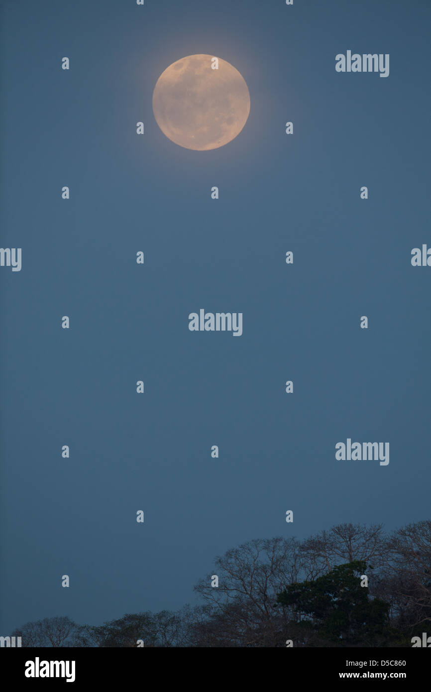 Moonrise night nighttime hi-res stock photography and images - Alamy