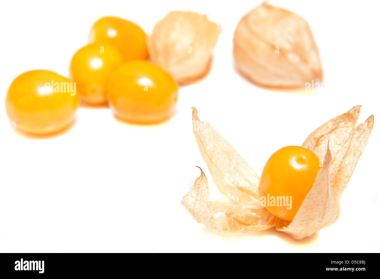 Physalis open hi-res stock photography and images - Alamy