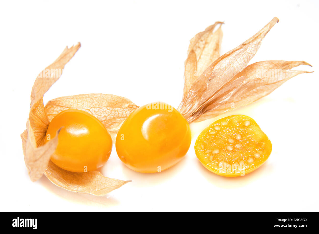 Physalis group closeup isolated on white background Stock Photo - Alamy