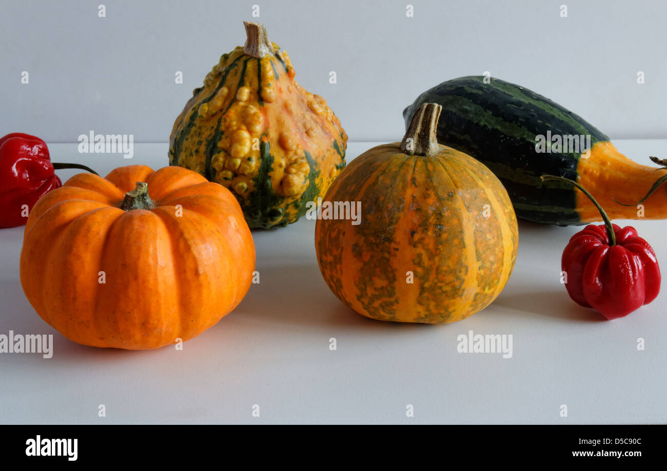 Scotch bonnet chillies hi-res stock photography and images - Alamy