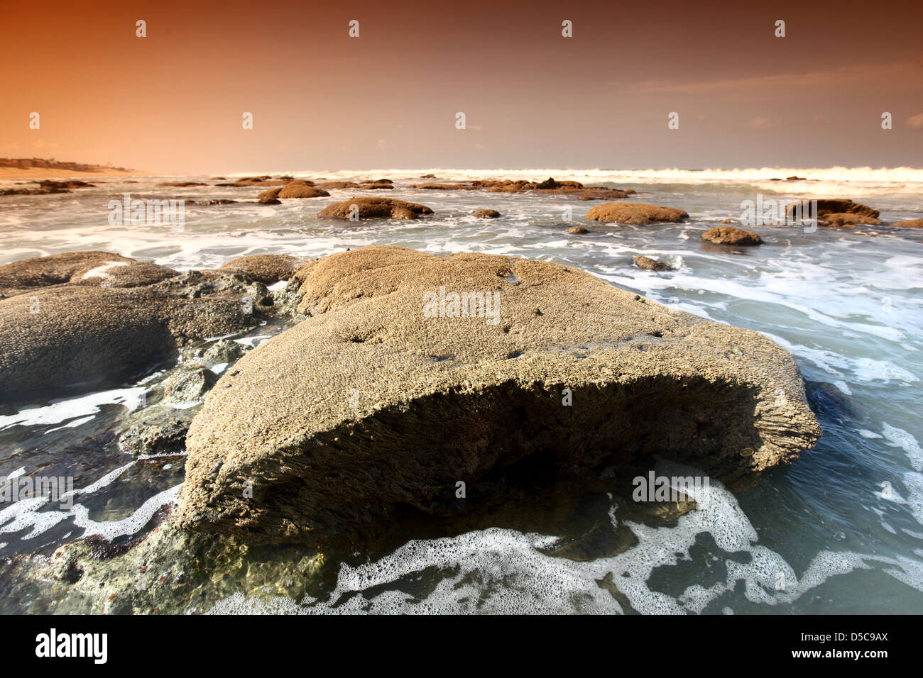 Reef stones an ocean water Stock Photo - Alamy