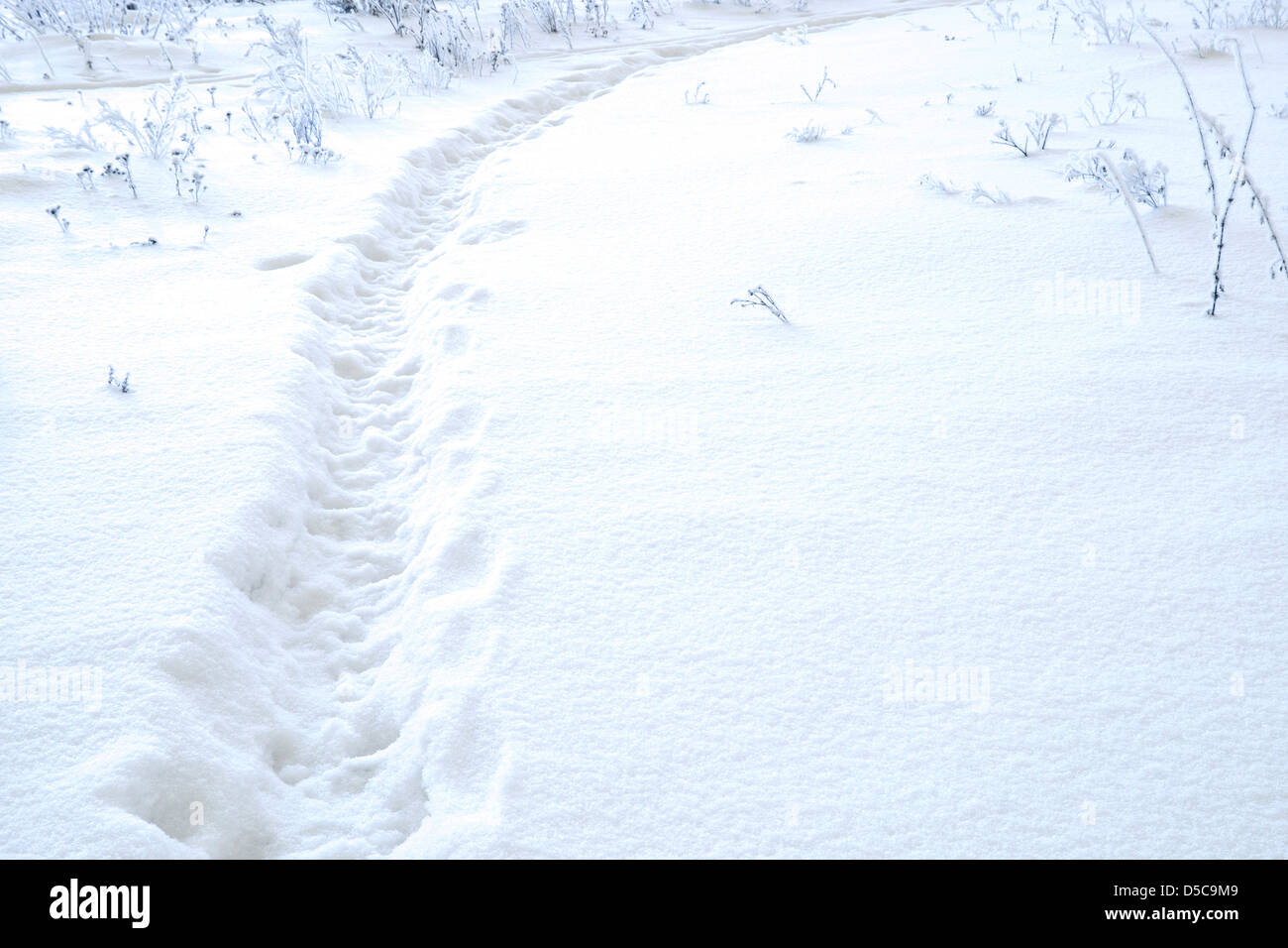 Pathway with steps hi-res stock photography and images - Alamy