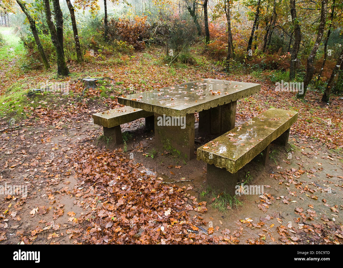 Stone benche and table in the forest Stock Photo - Alamy