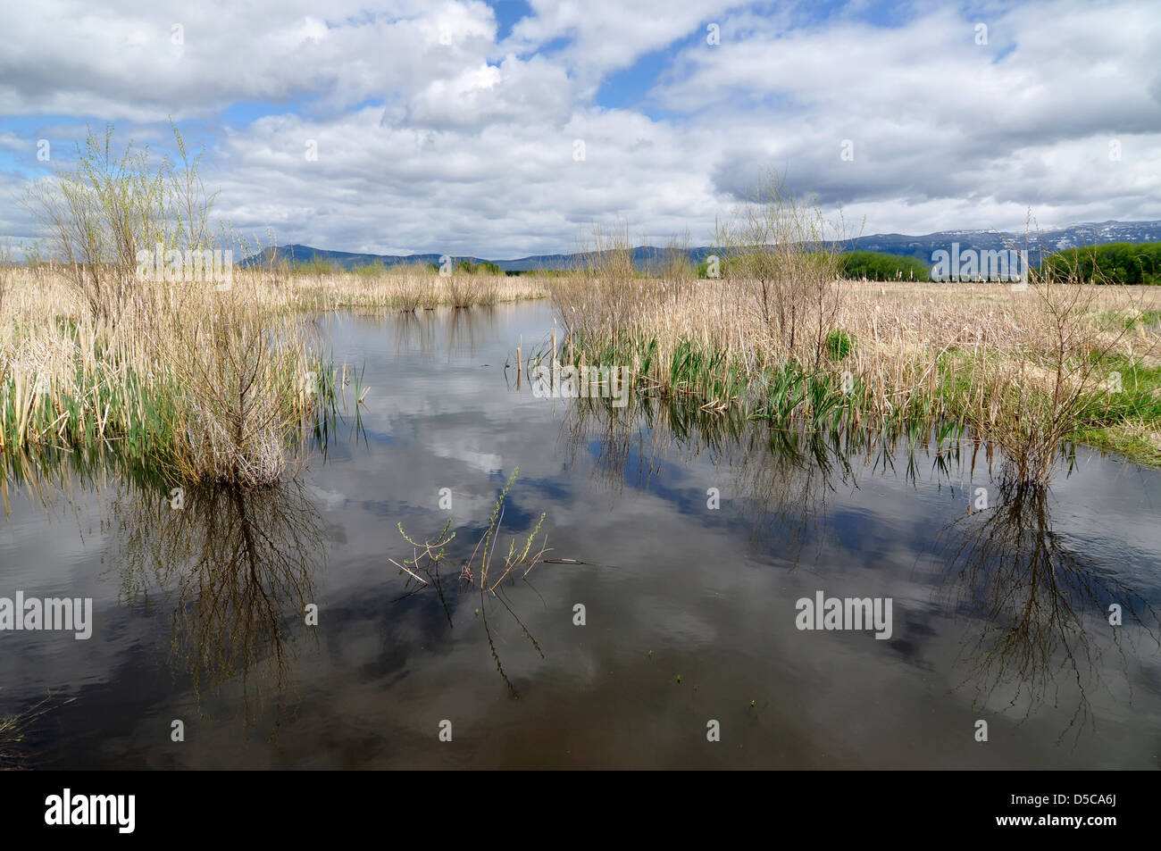 Ladd Marsh, Grand Ronde Valley, Oregon Stock Photo - Alamy