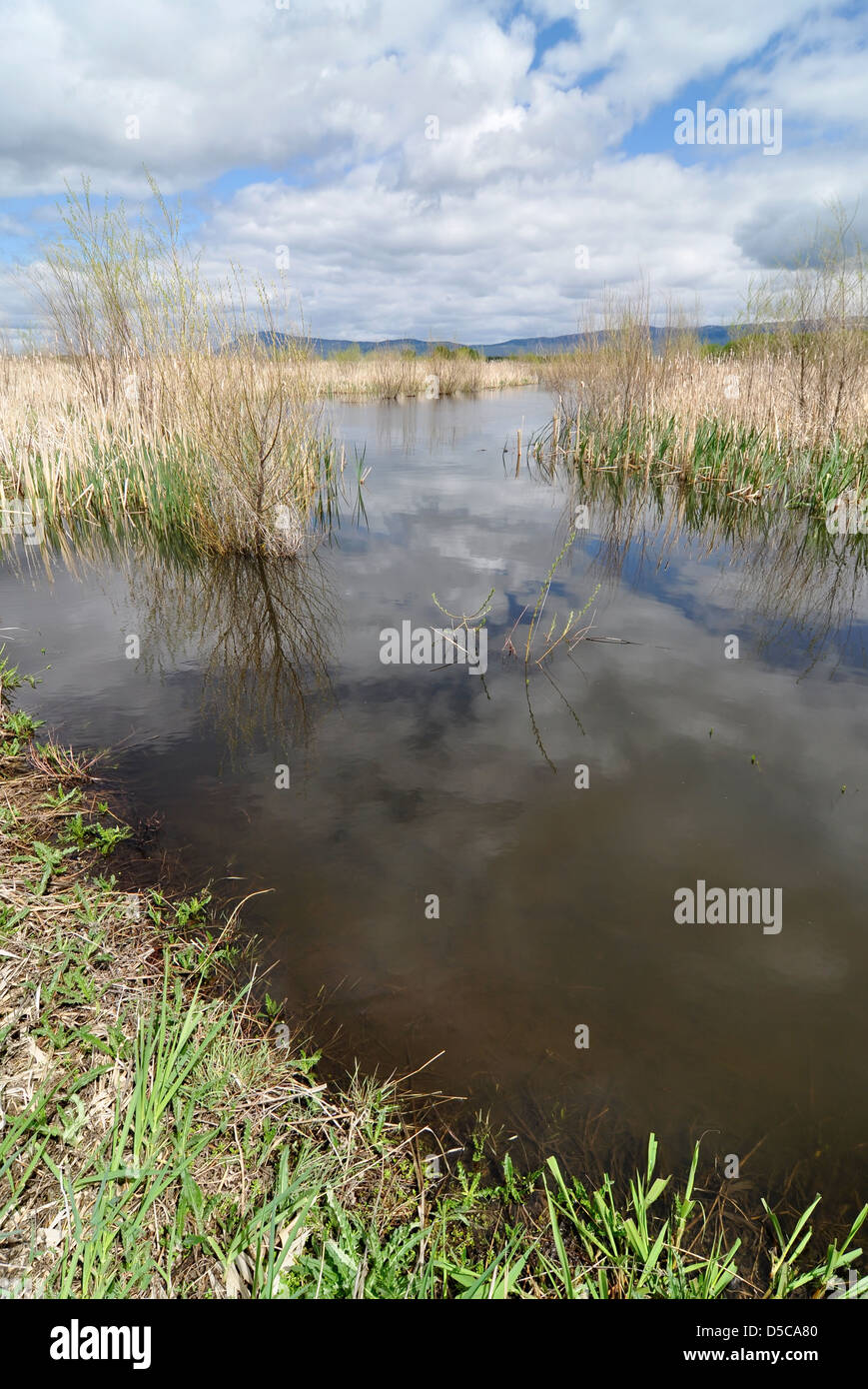 Ladd Marsh, Grand Ronde Valley, Oregon Stock Photo - Alamy