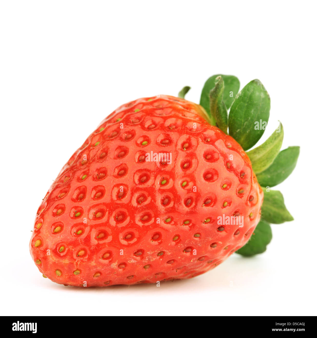 One garden strawberry two hi-res stock photography and images - Alamy