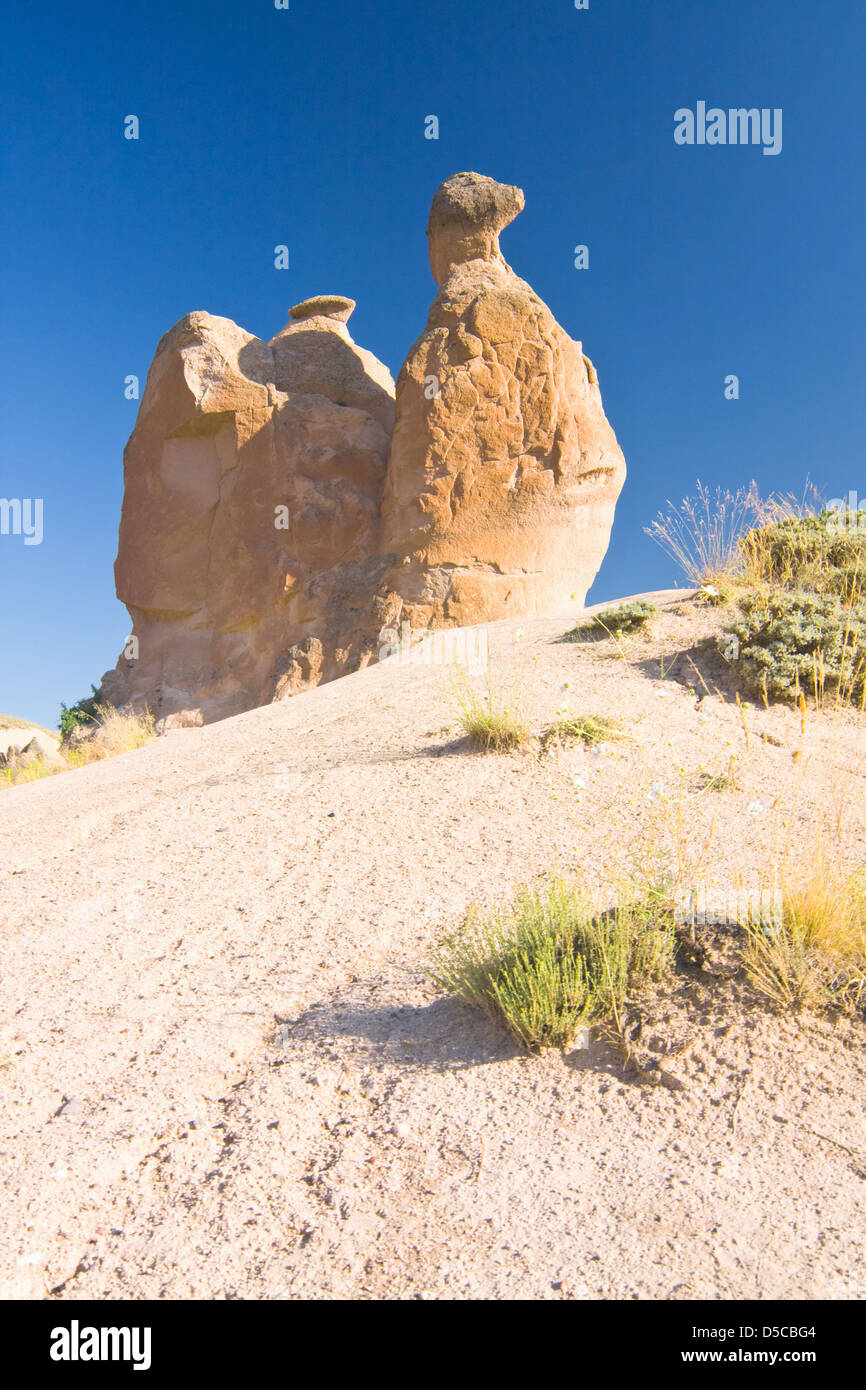 Camel Rock in the Cappadocia, Turkey Stock Photo - Alamy