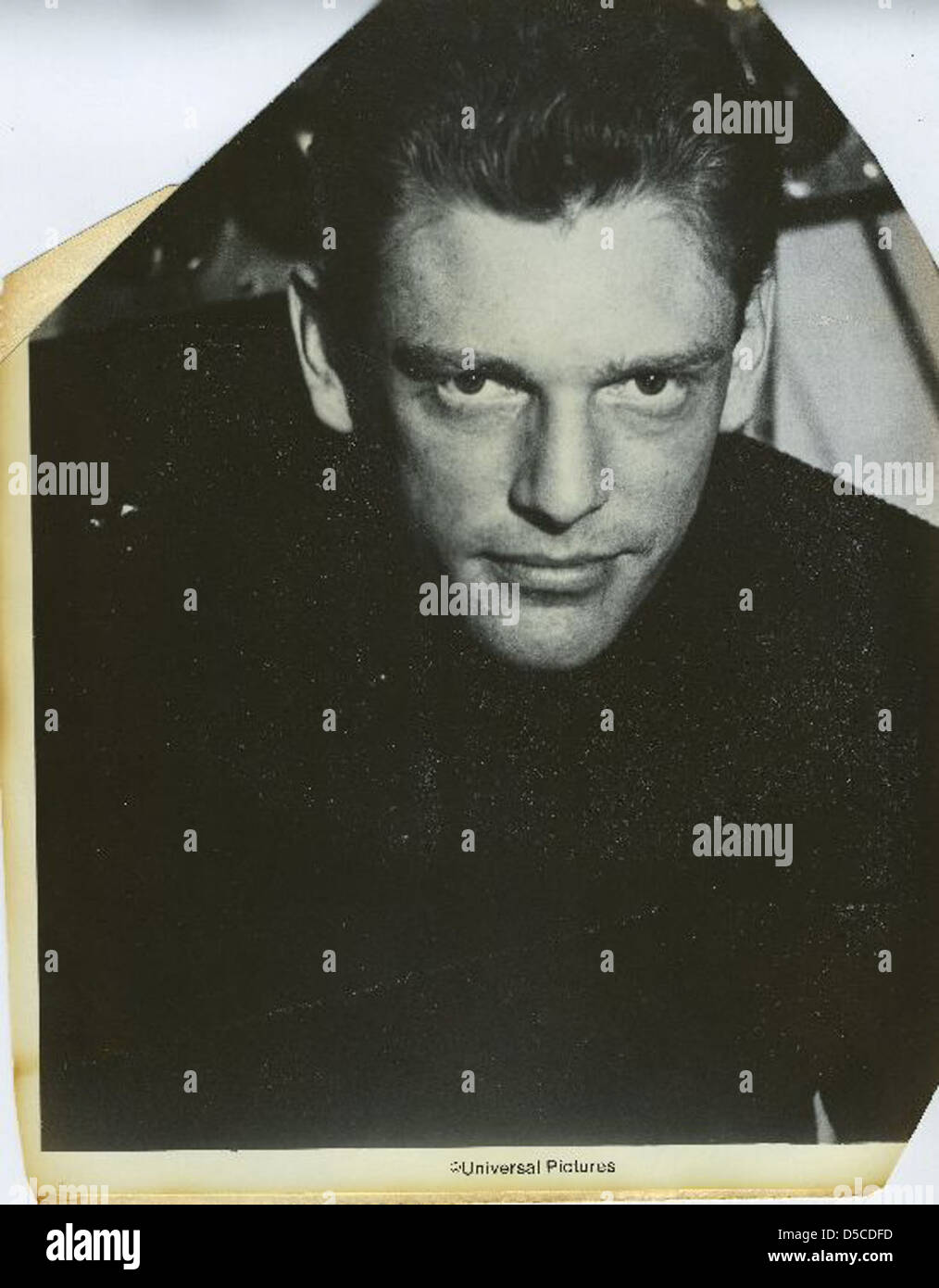 The Hindenburg was a German passenger airship that tragically caught ...