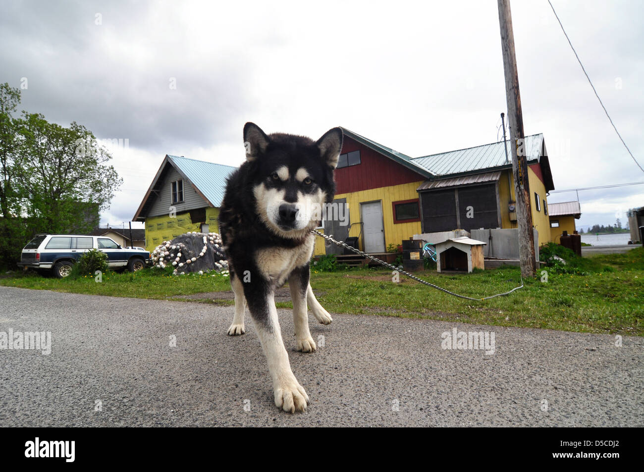 Alaska native hi-res stock photography and images - Alamy