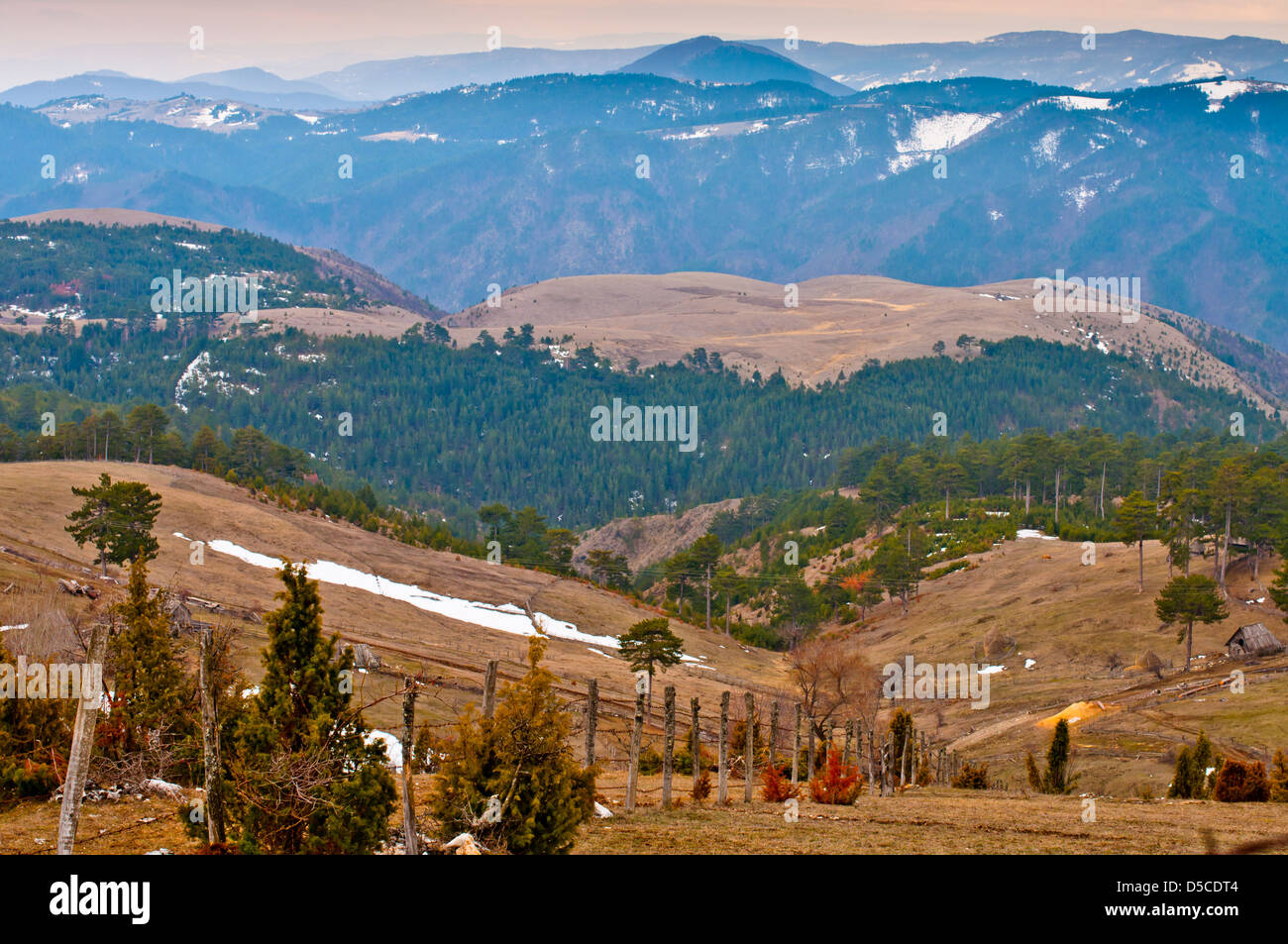 Zlatibor hi-res stock photography and images - Alamy