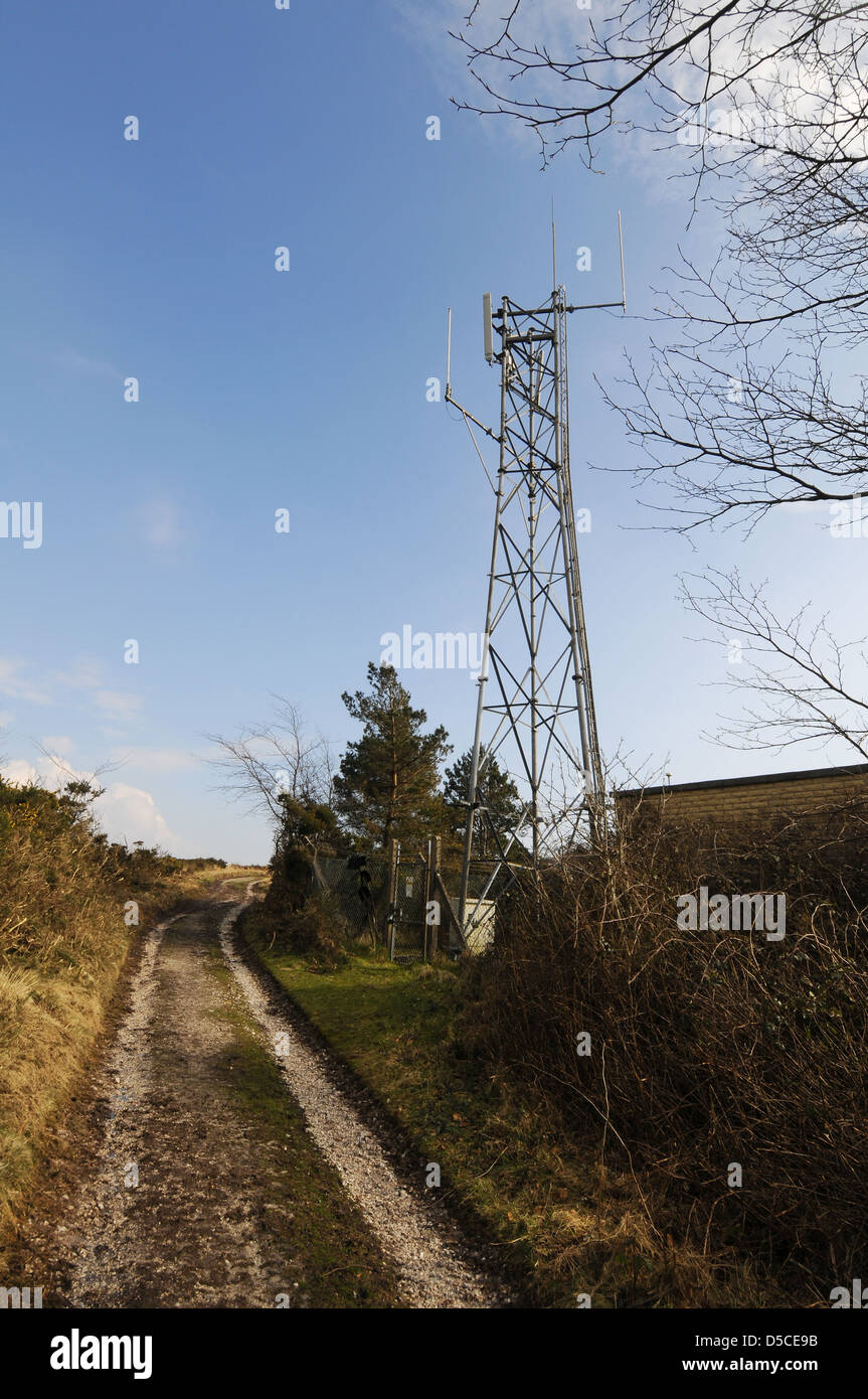 Mobile phone mast in the countryside, Britain, UK Stock Photo - Alamy