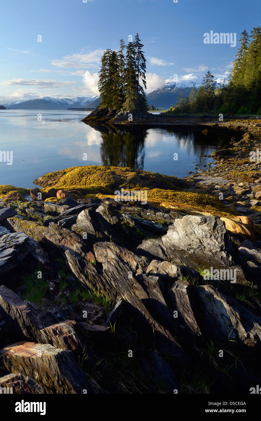 Shoreline of Holkham Bay, Southeast Alaska Stock Photo - Alamy