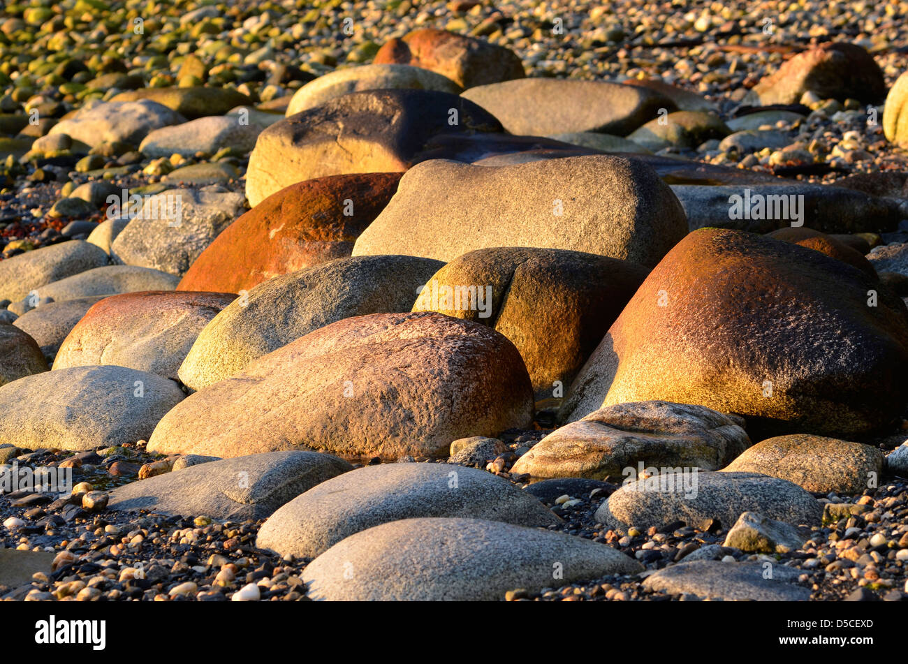 Boulders on beach, Holkham Bay, Alaska Stock Photo - Alamy
