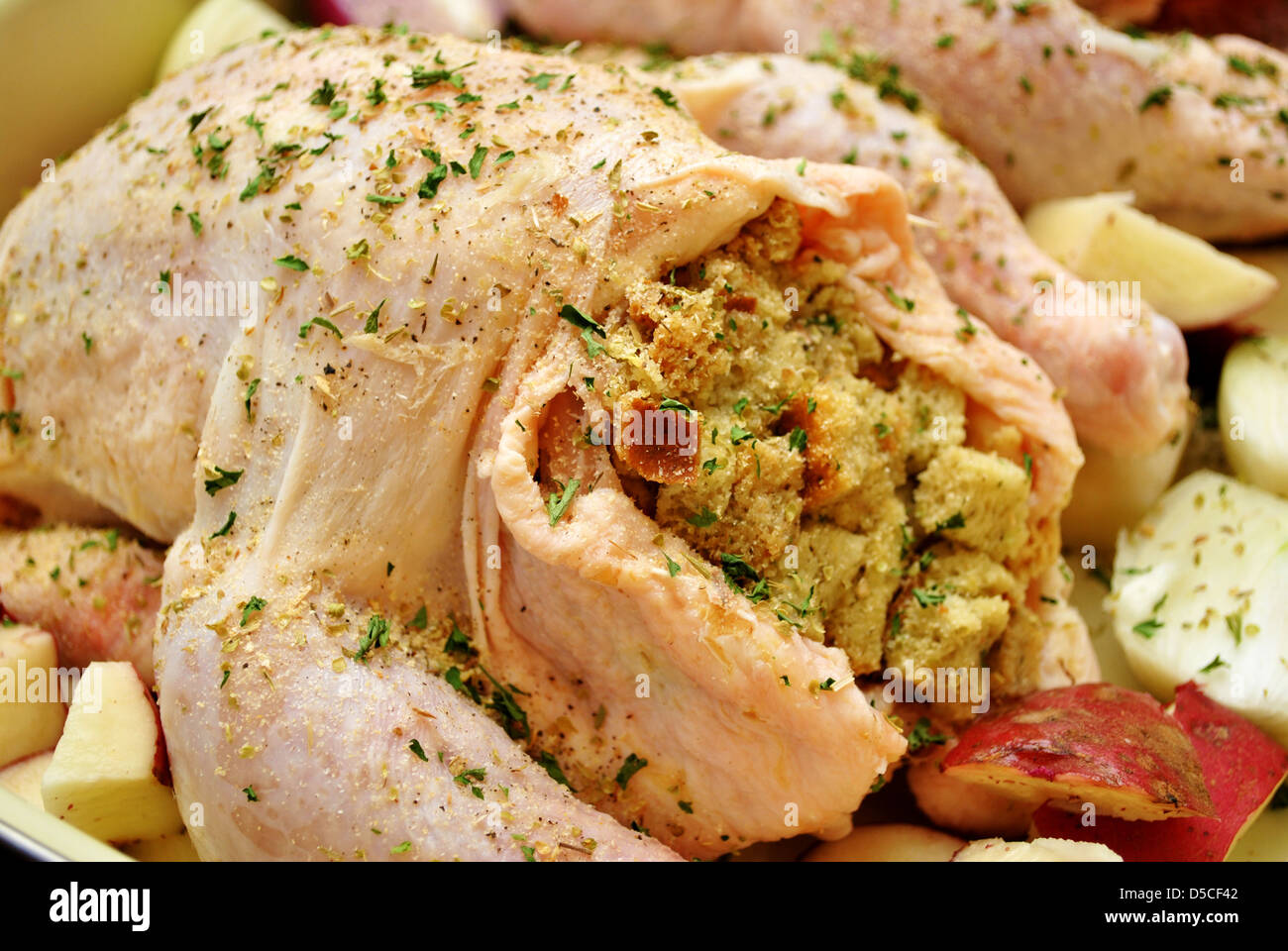 Bread Dressing Stuffed in a Raw Chicken Stock Photo - Alamy