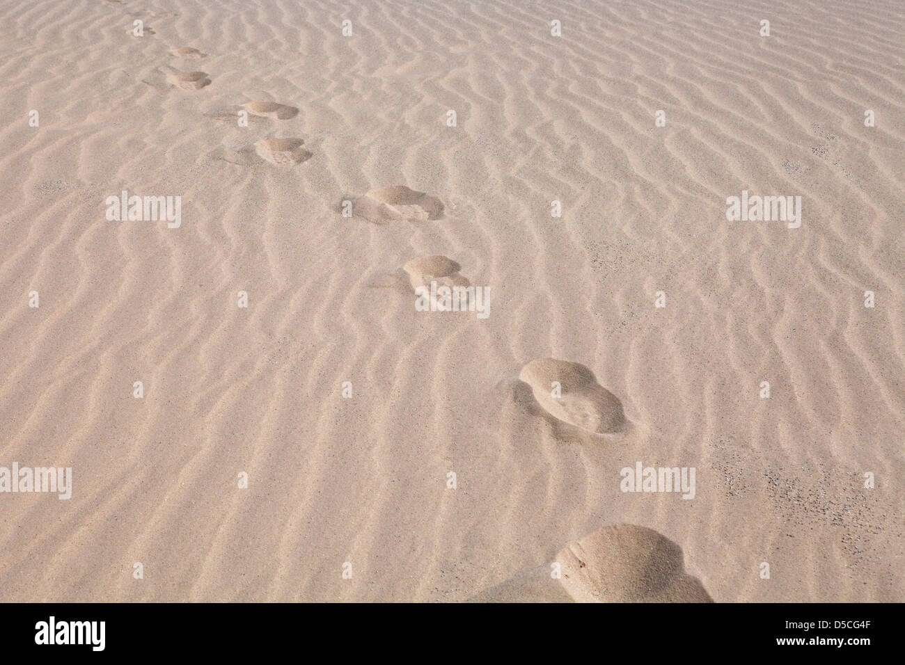 Footprints and sand ripples in Sleeping Bear Dunes National Lakeshore ...