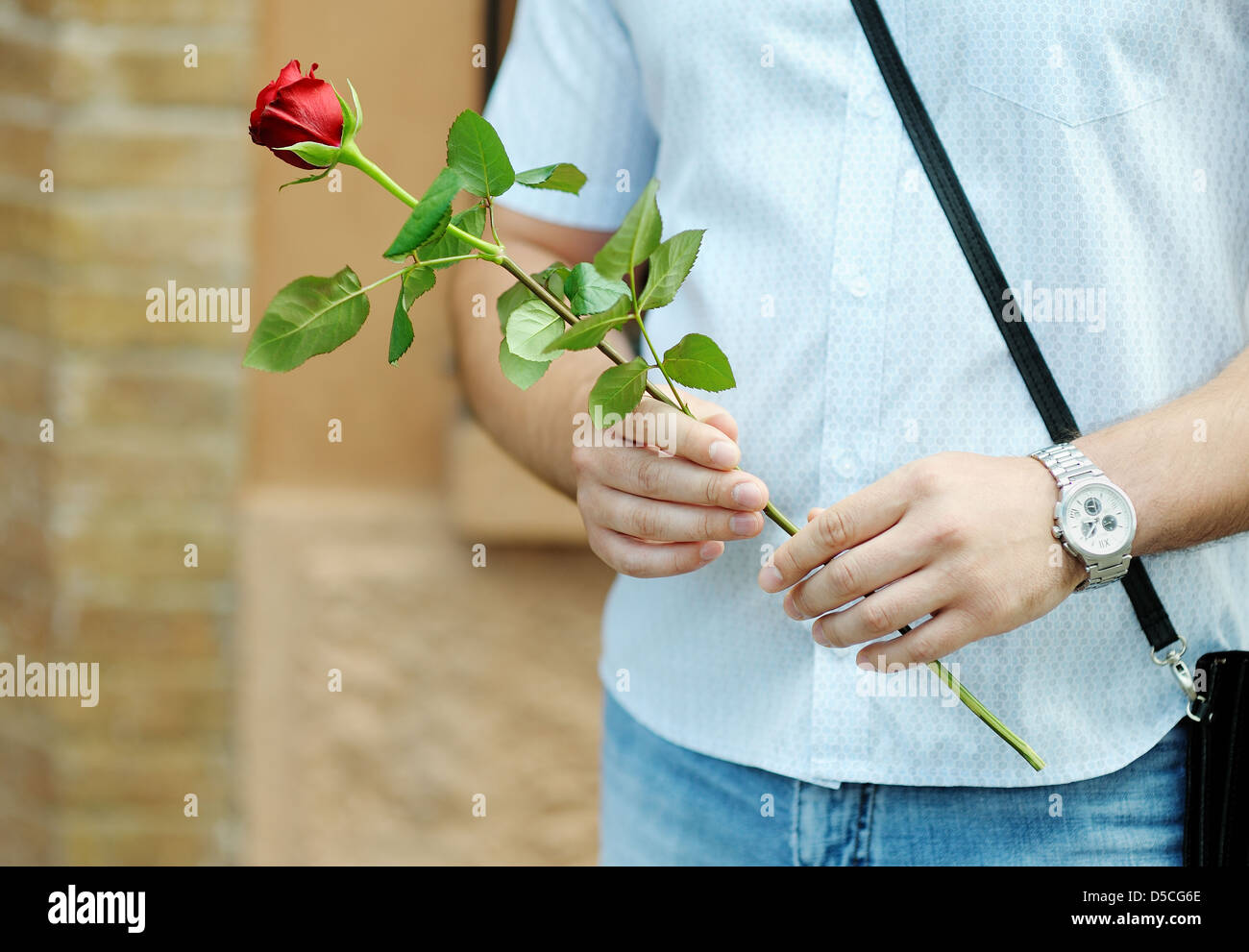 man with a beautiful flower in his hands Stock Photo - Alamy