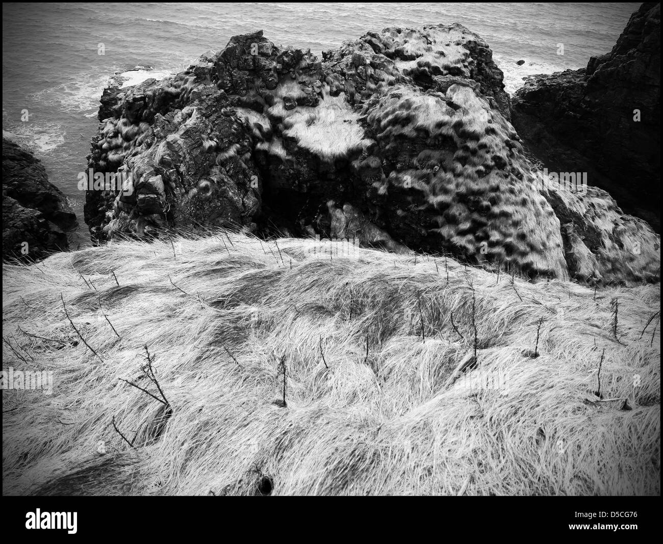 Aberdeen coastal trail hi-res stock photography and images - Alamy