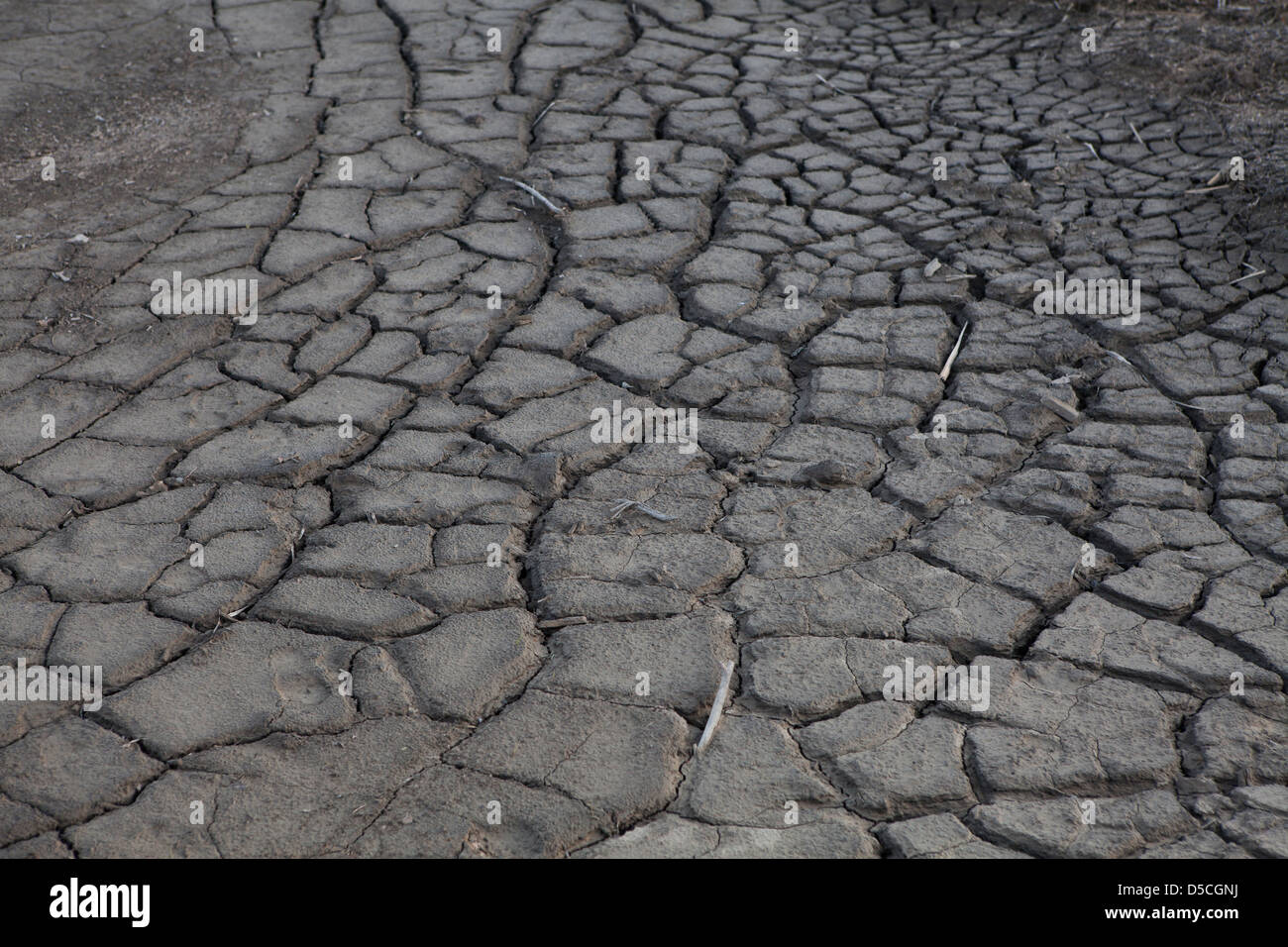 Small vertical cracks hi-res stock photography and images - Alamy