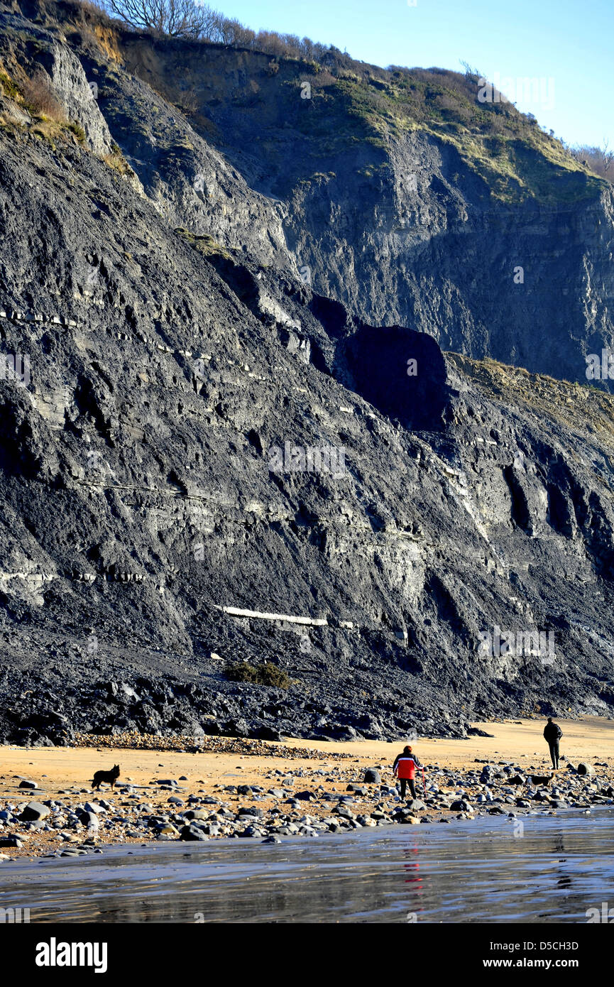 Cliff charmouth hi-res stock photography and images - Alamy