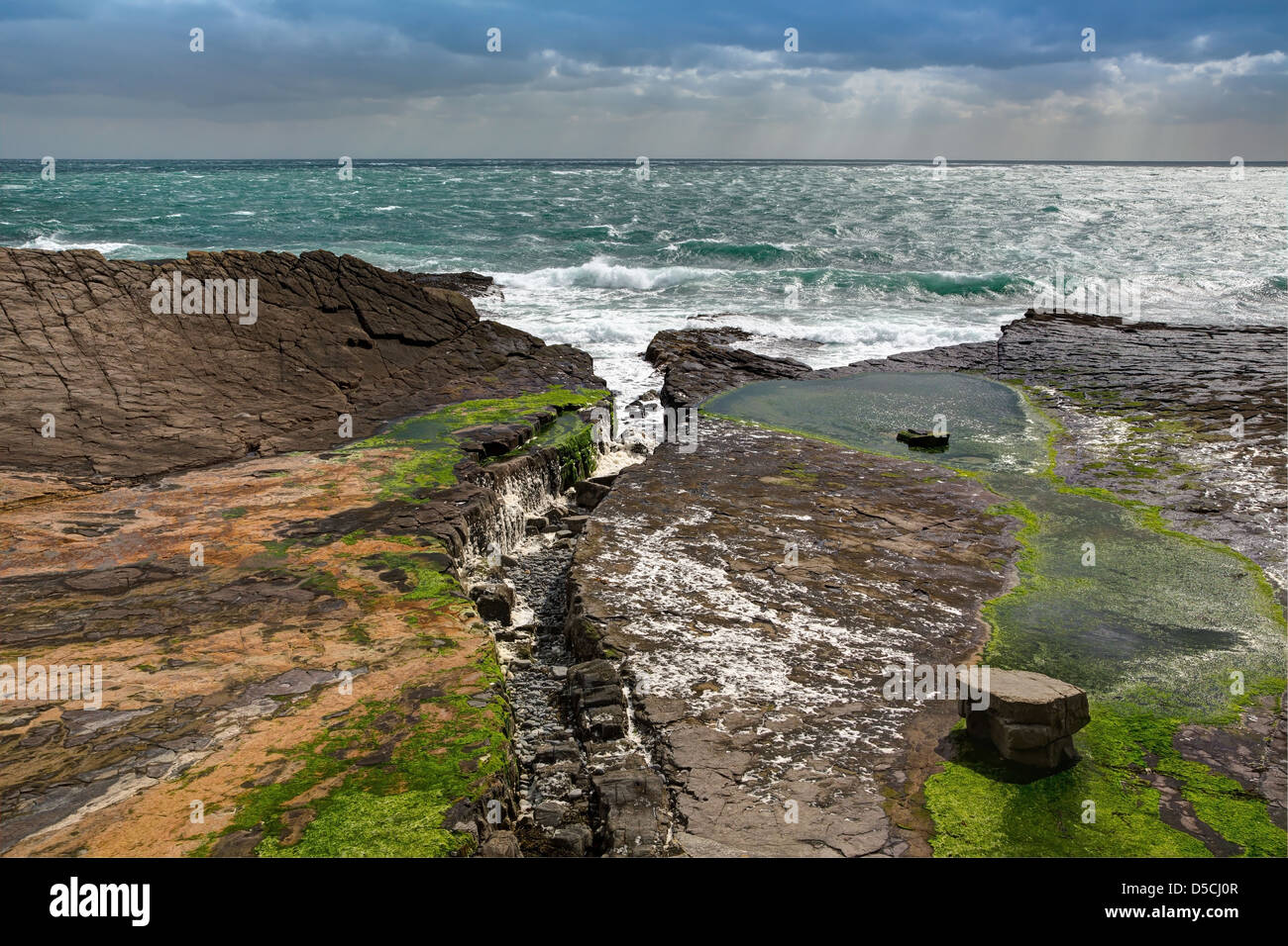 Scarlett point hi-res stock photography and images - Alamy