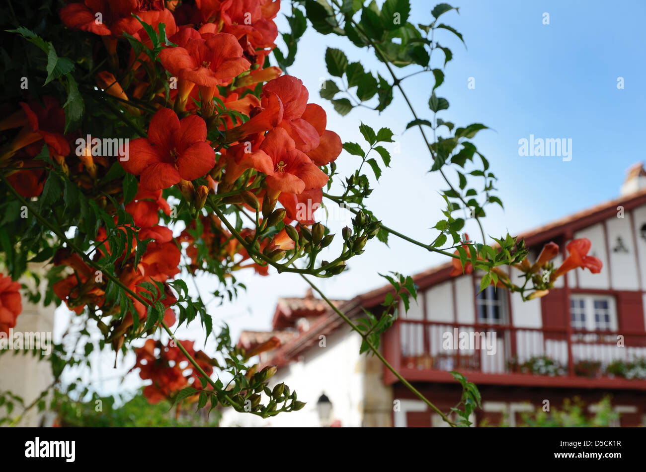 Summer view of the Basque town Stock Photo - Alamy