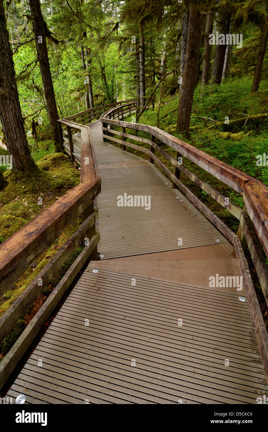 Boardwalk on Forest Loop Trail, Glacier Bay National Park, Alaska Stock ...