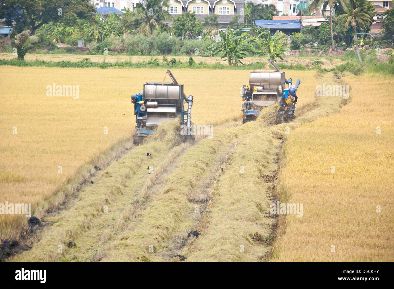 Rice machine hi-res stock photography and images - Alamy