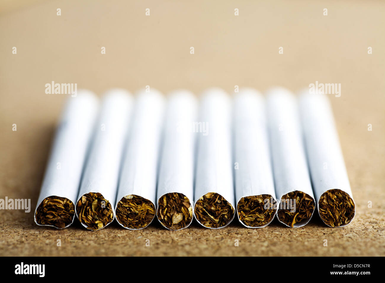 Close up shot of a line of cigarettes Stock Photo - Alamy