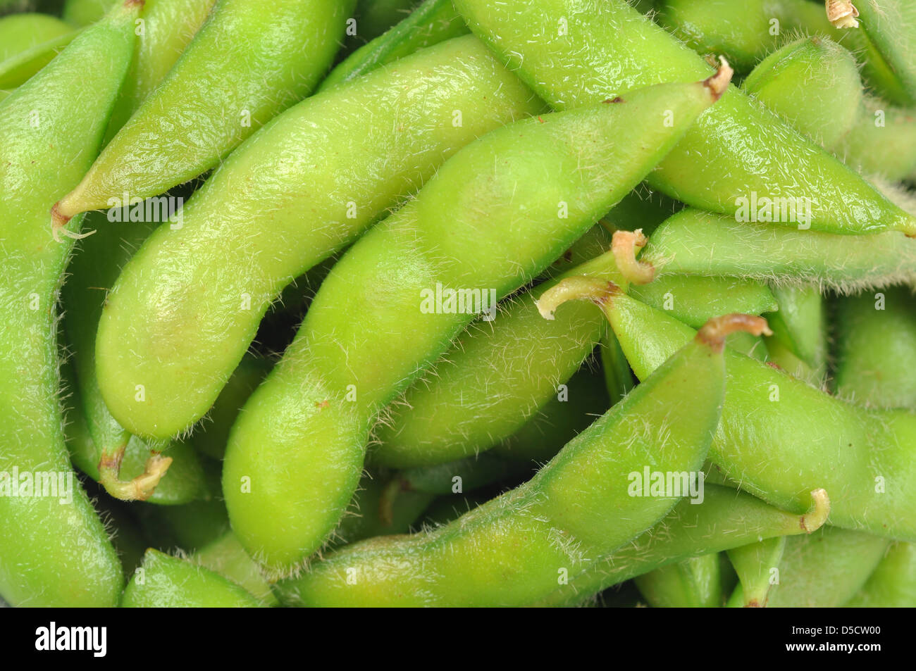 Soybean meal hi-res stock photography and images - Alamy