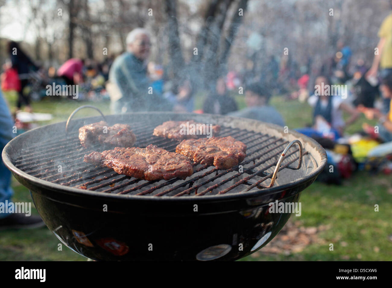Berlin, Germany, people barbecue in Tiergarten Stock Photo - Alamy