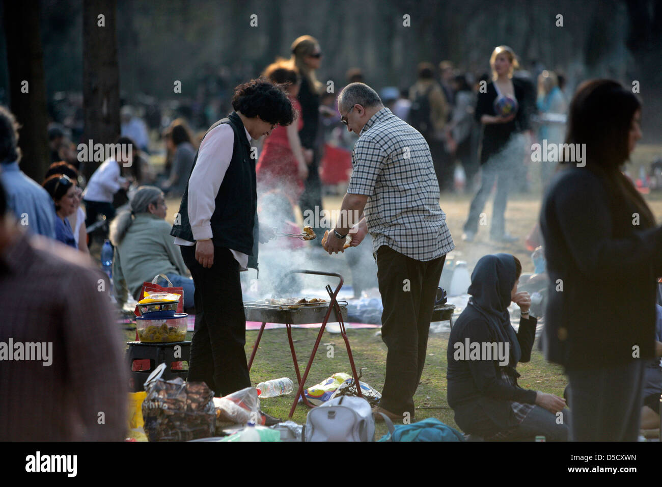 Berlin, Germany, people barbecue in Tiergarten Stock Photo - Alamy