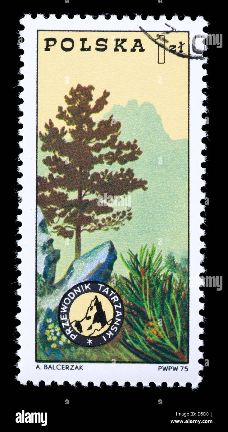 Postage stamp from Poland depicting pine tree, badge and Tatra ...