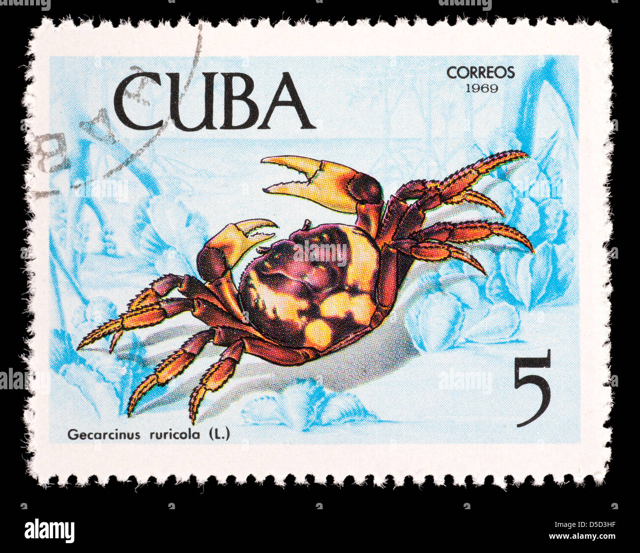 Postage stamp from Cuba depicting a purple land crab (Gecarcinus ...