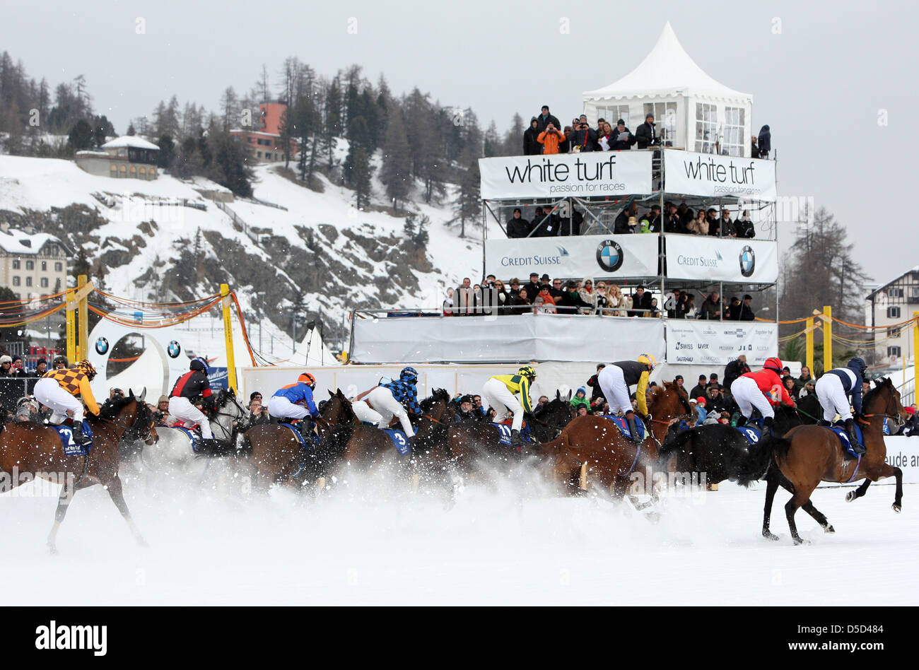 St moritz switzerland horse hi-res stock photography and images - Alamy
