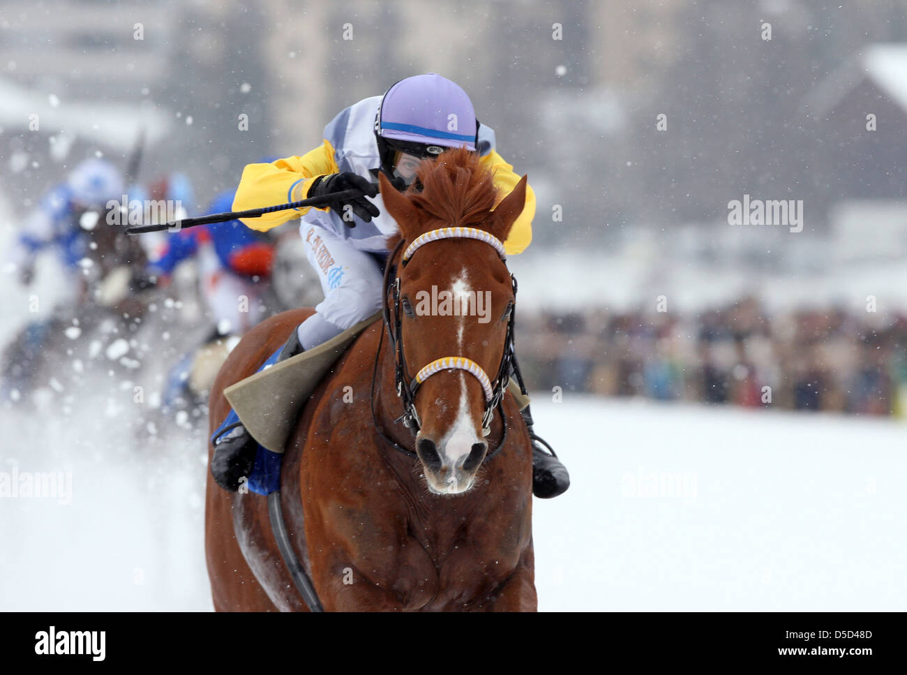 St moritz switzerland horse hi-res stock photography and images - Alamy