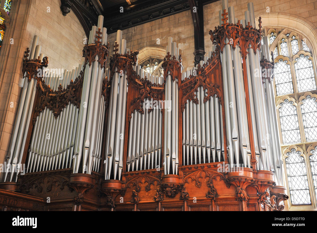 Wide shot of beautiful pipe organ pipes in a cathedral church Stock ...