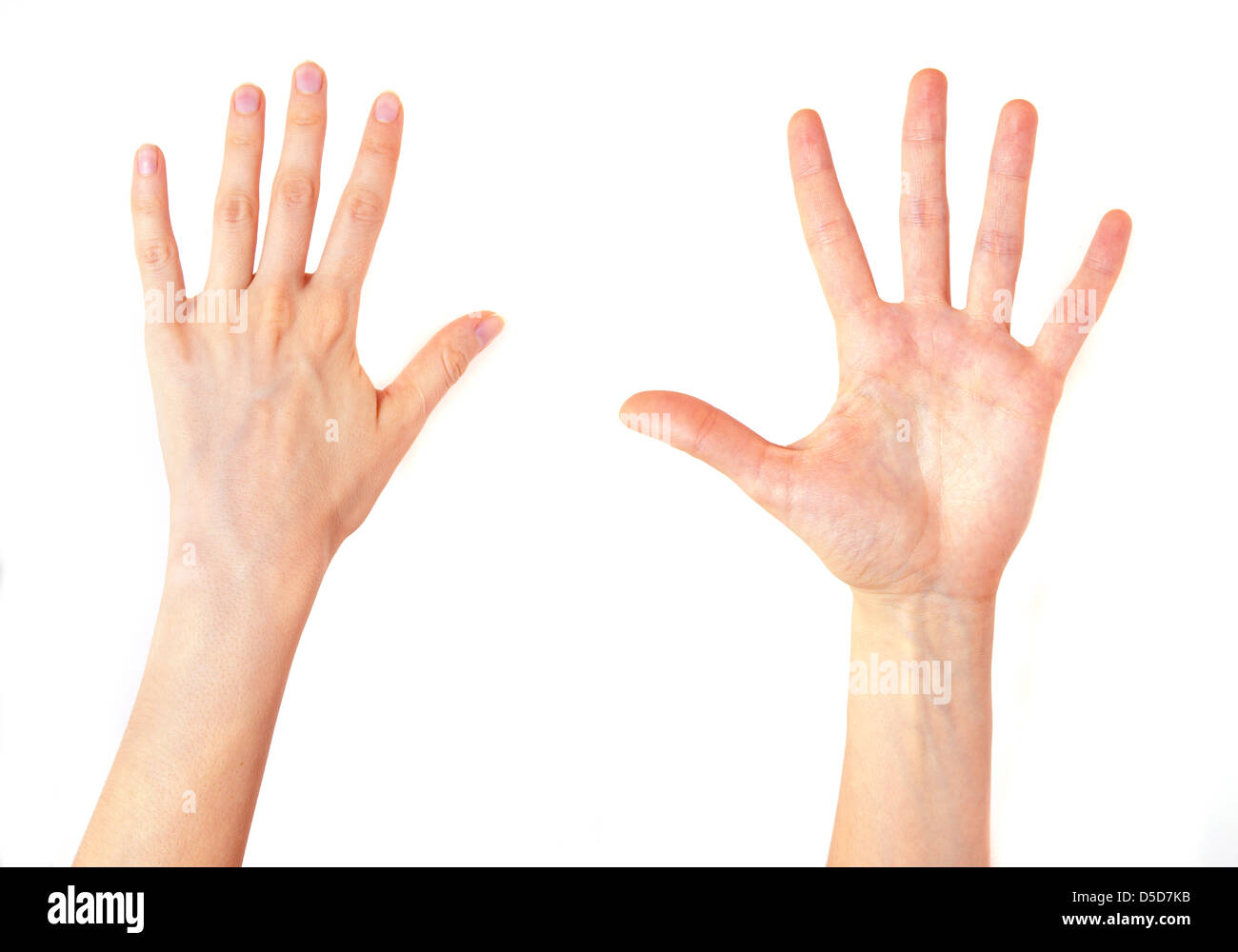 Palmistry hi-res stock photography and images - Alamy