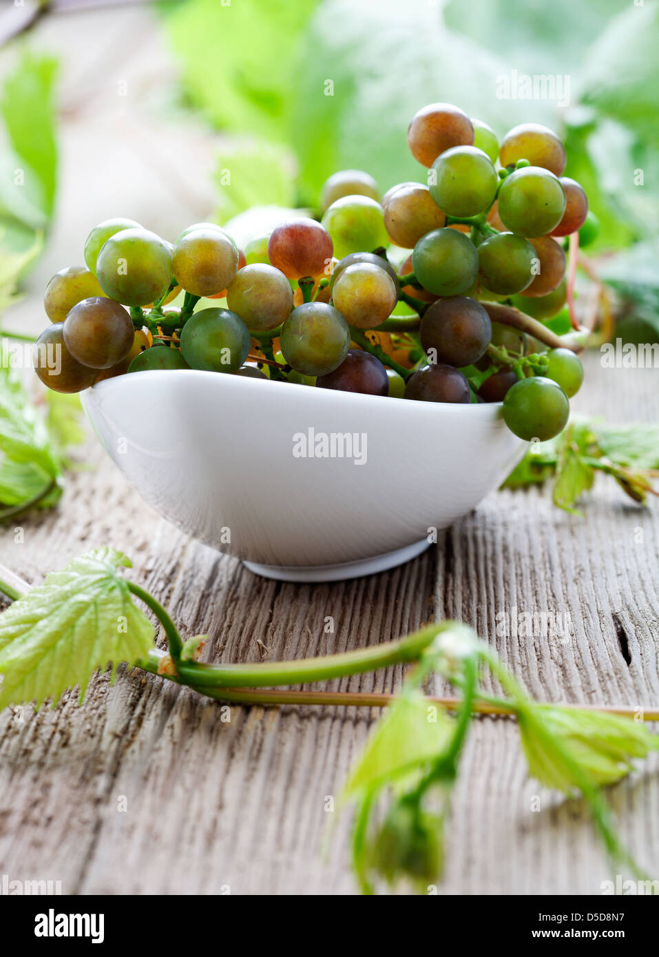 Grapes Bowl Stock Photos & Grapes Bowl Stock Images - Alamy