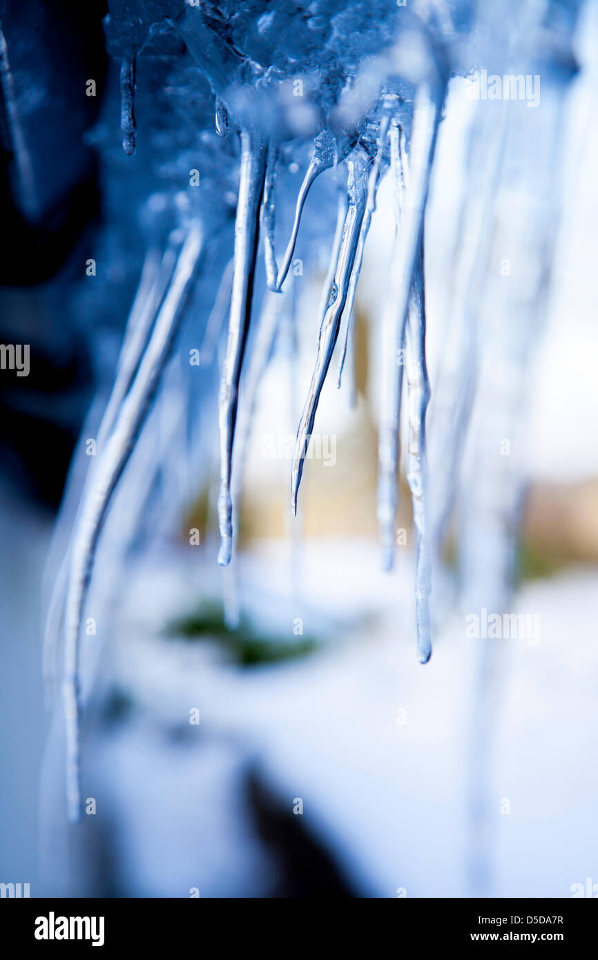 Melting roof snow falling over a gutter and melting into icicles on a ...