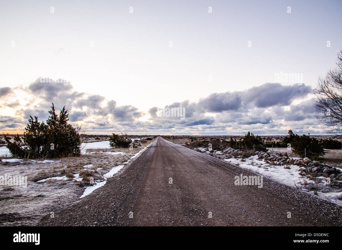 Straight dirt road at morning Stock Photo - Alamy