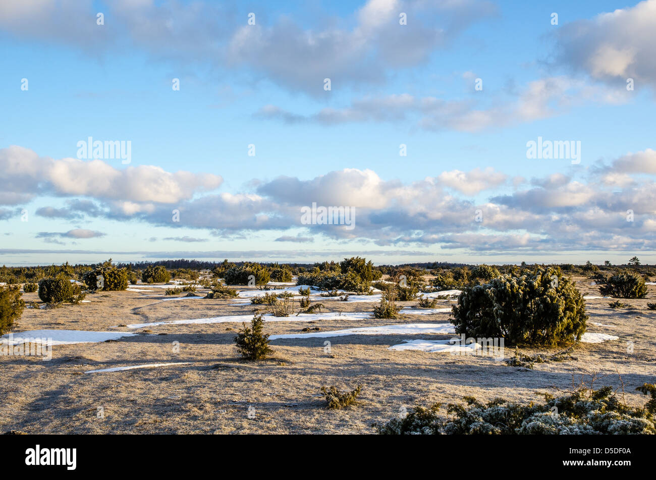 A frosty springtime morning at The Great Alvar Plain, an unique ...
