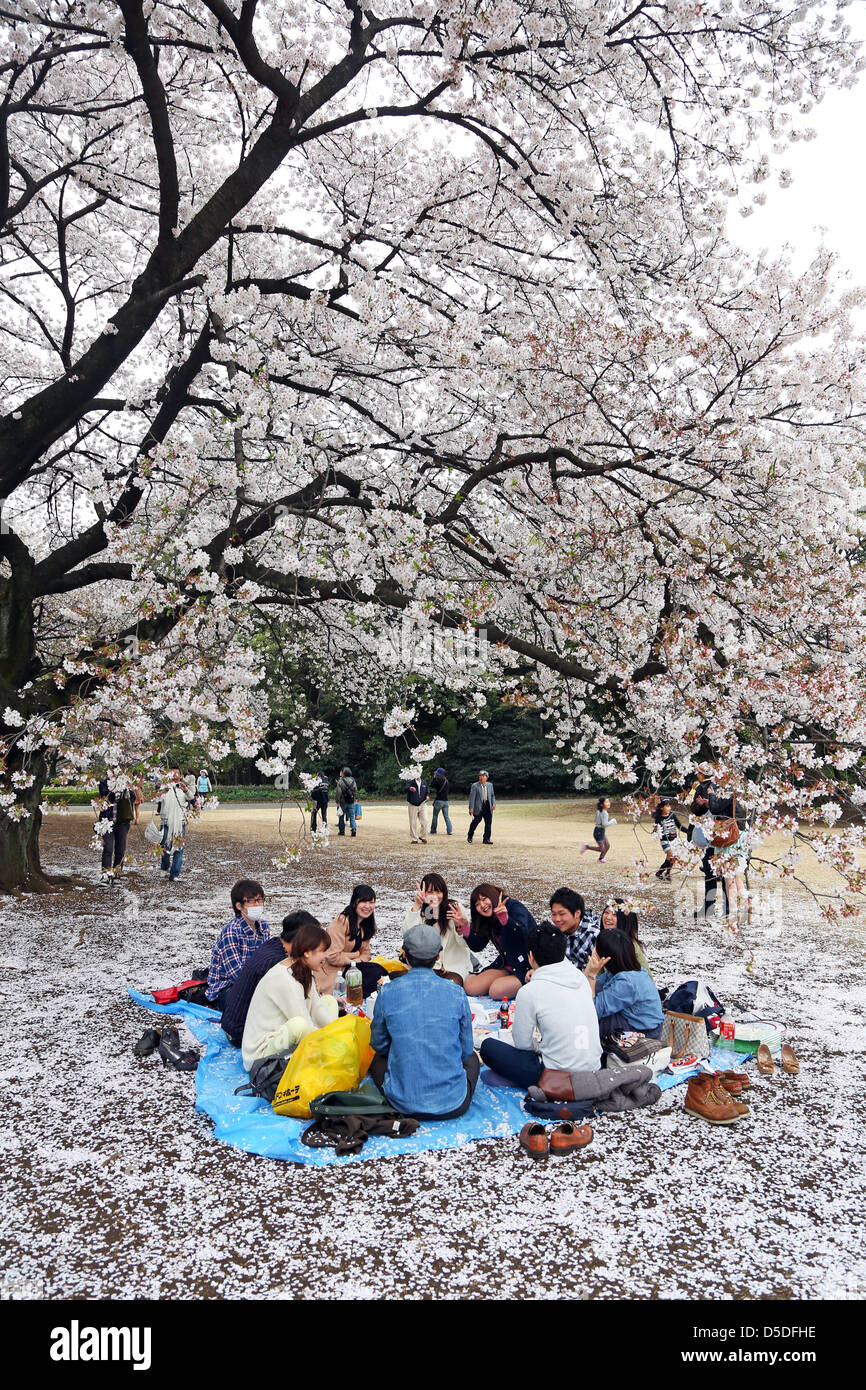 Tokyo picnics hi-res stock photography and images - Alamy