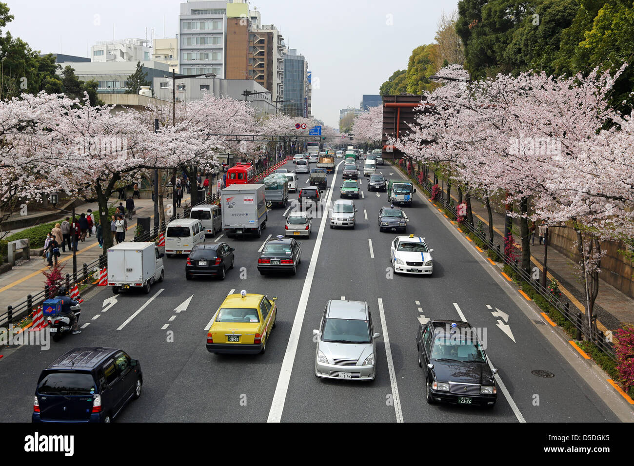Tokyo, Japan. 29th March 2013. Traffic on the roads during Cherry ...