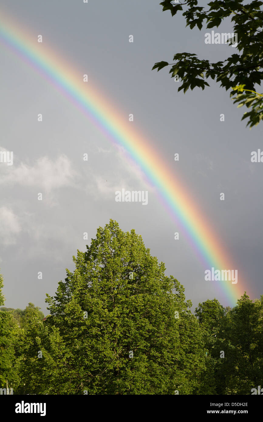 Rainbow above green trees of the forest Stock Photo - Alamy