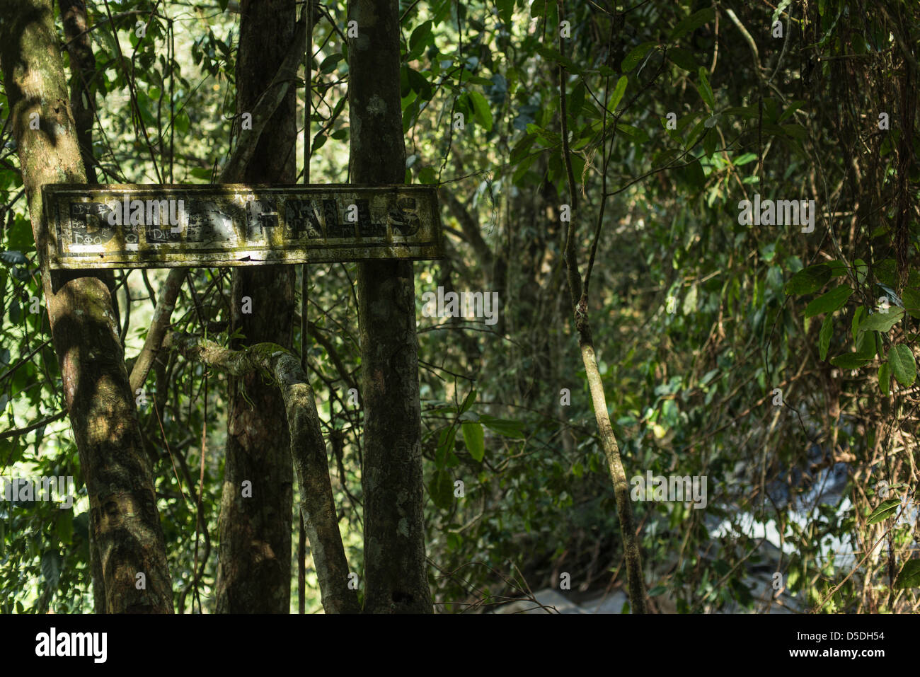 Jungle Sign High Resolution Stock Photography and Images - Alamy