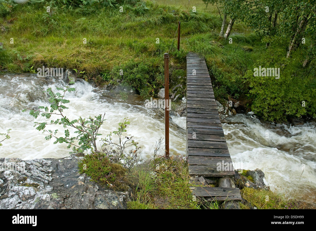 A raging highland burn requires great care crossing on a tiny wooden ...