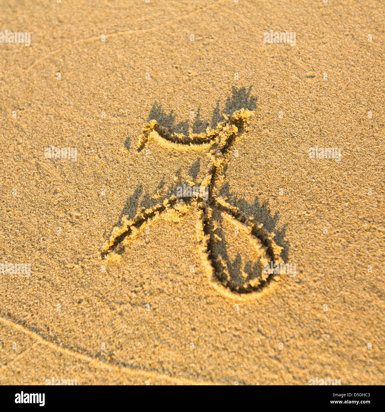 Zodiac signs at the beach 60 photos - Astrologytoyou.com