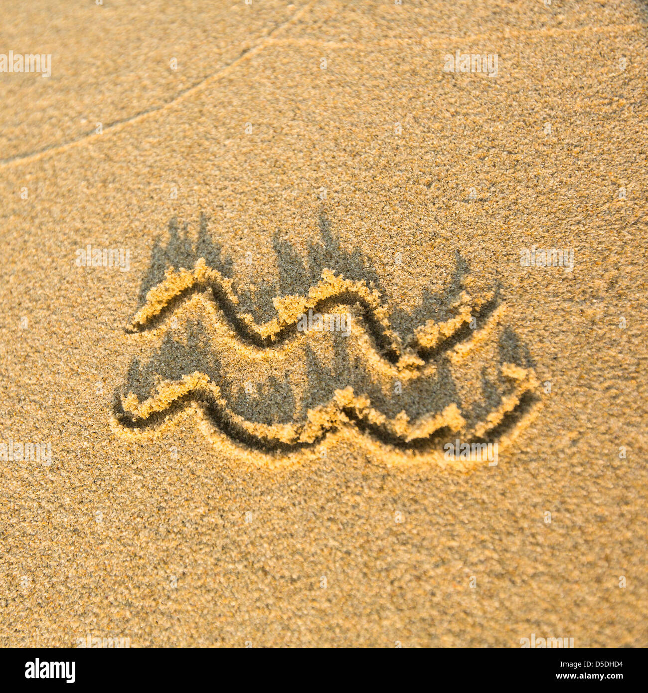 Zodiac sign Aquarius, drawn on the facture beach sand. (zodiac signs ...