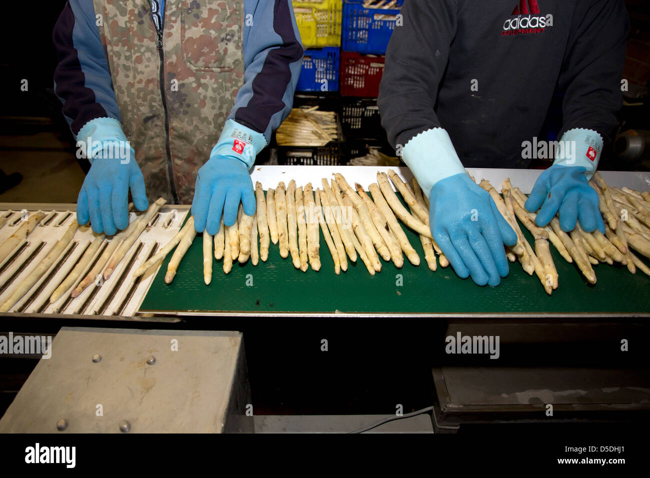 Herten inside hi-res stock photography and images - Alamy