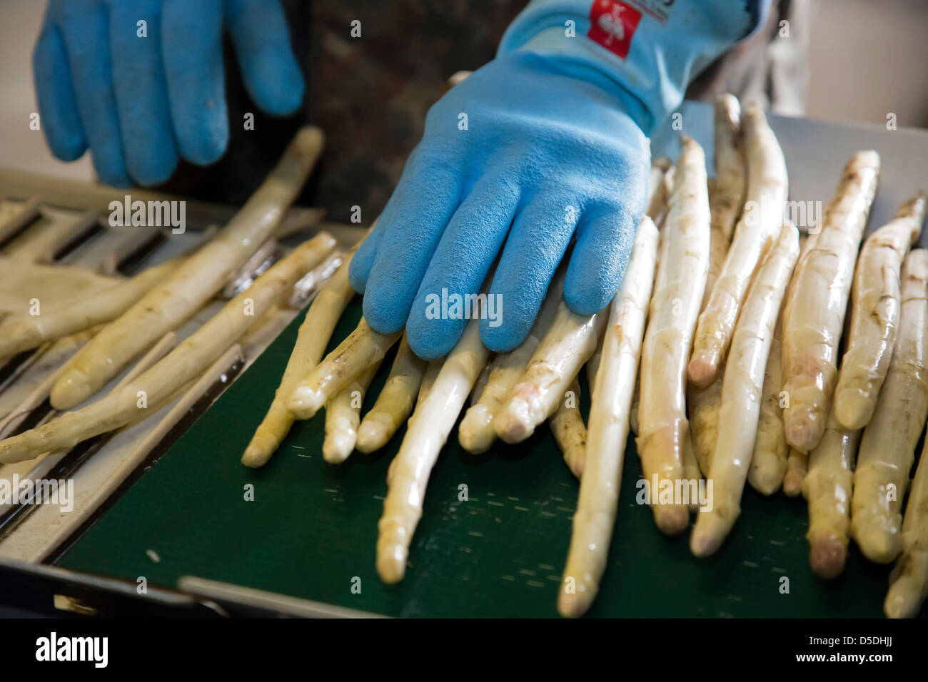 Herten inside hi-res stock photography and images - Alamy